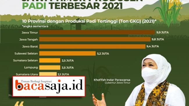 Jawa Timur kembali sebagai Penghasil Padi Terbesar di Indonesia