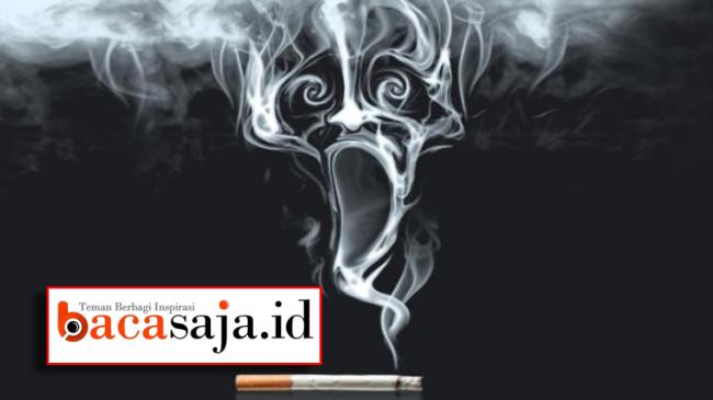 5 Kebiasaan Ini Bisa Akibatkan Paru-paru Basah Lho, Salah Satunya ...