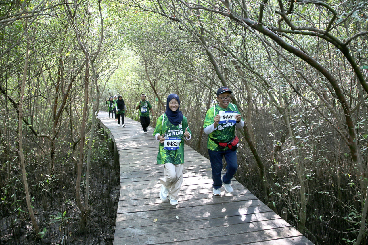 Rayakan HUT ke-2, Kebun Raya Mangrove Surabaya Suguhkan Ragam Acara ...